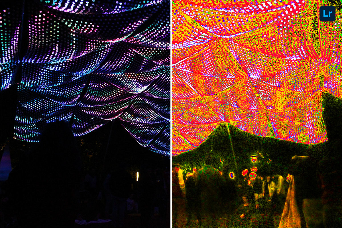 Luminescent Canopy | Edit | Photoshop Lightroom