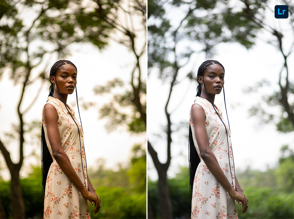 elizabeth ii | Remix | Photoshop Lightroom