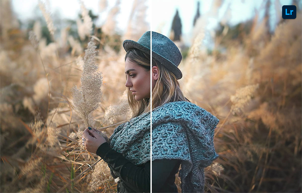 In the Field | Edit | Photoshop Lightroom