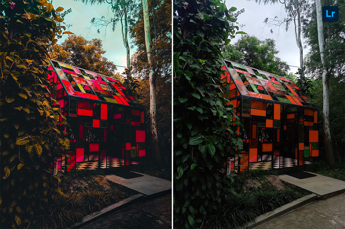 Warm | Edit | Photoshop Lightroom