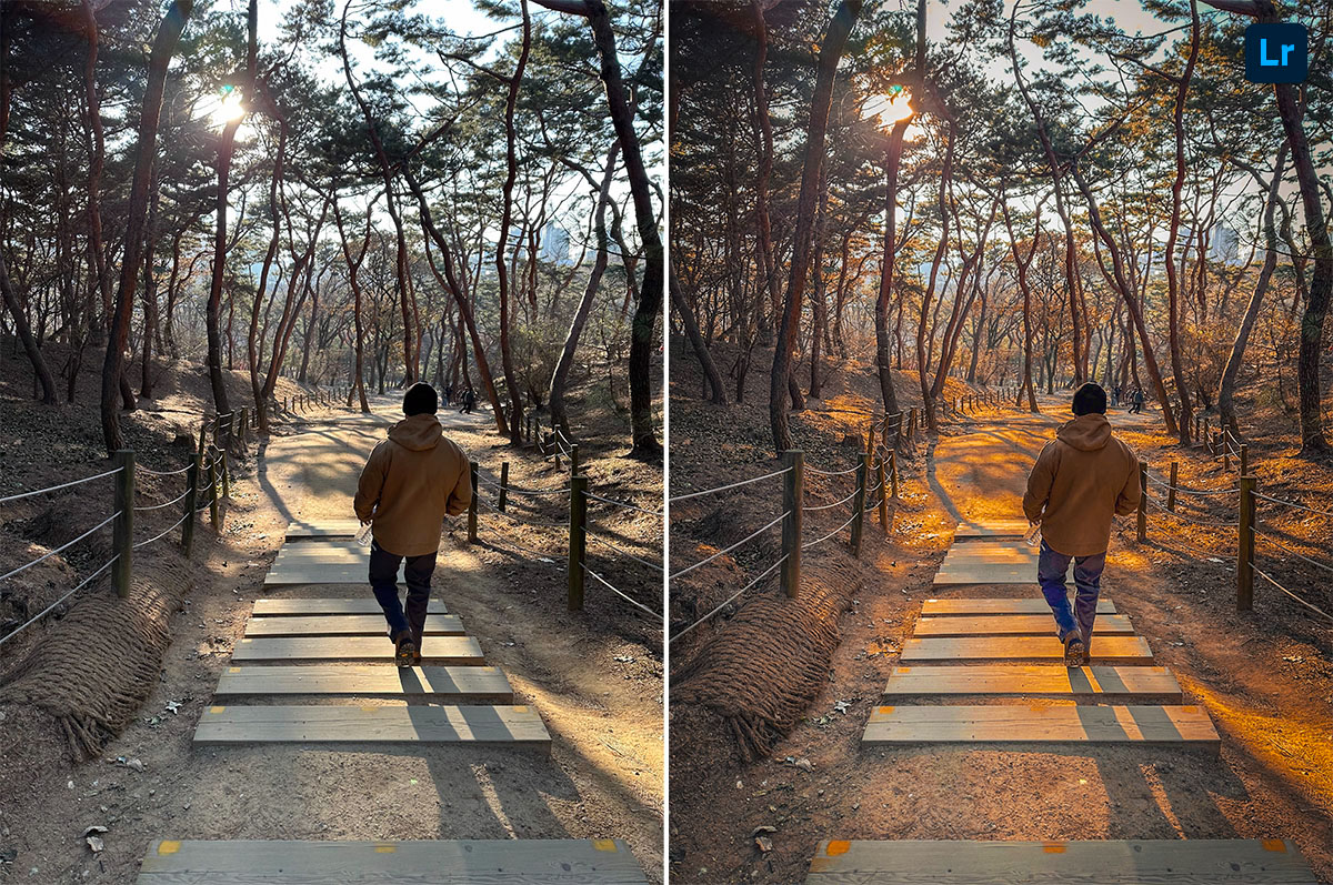 Nature Walk | Edit | Photoshop Lightroom