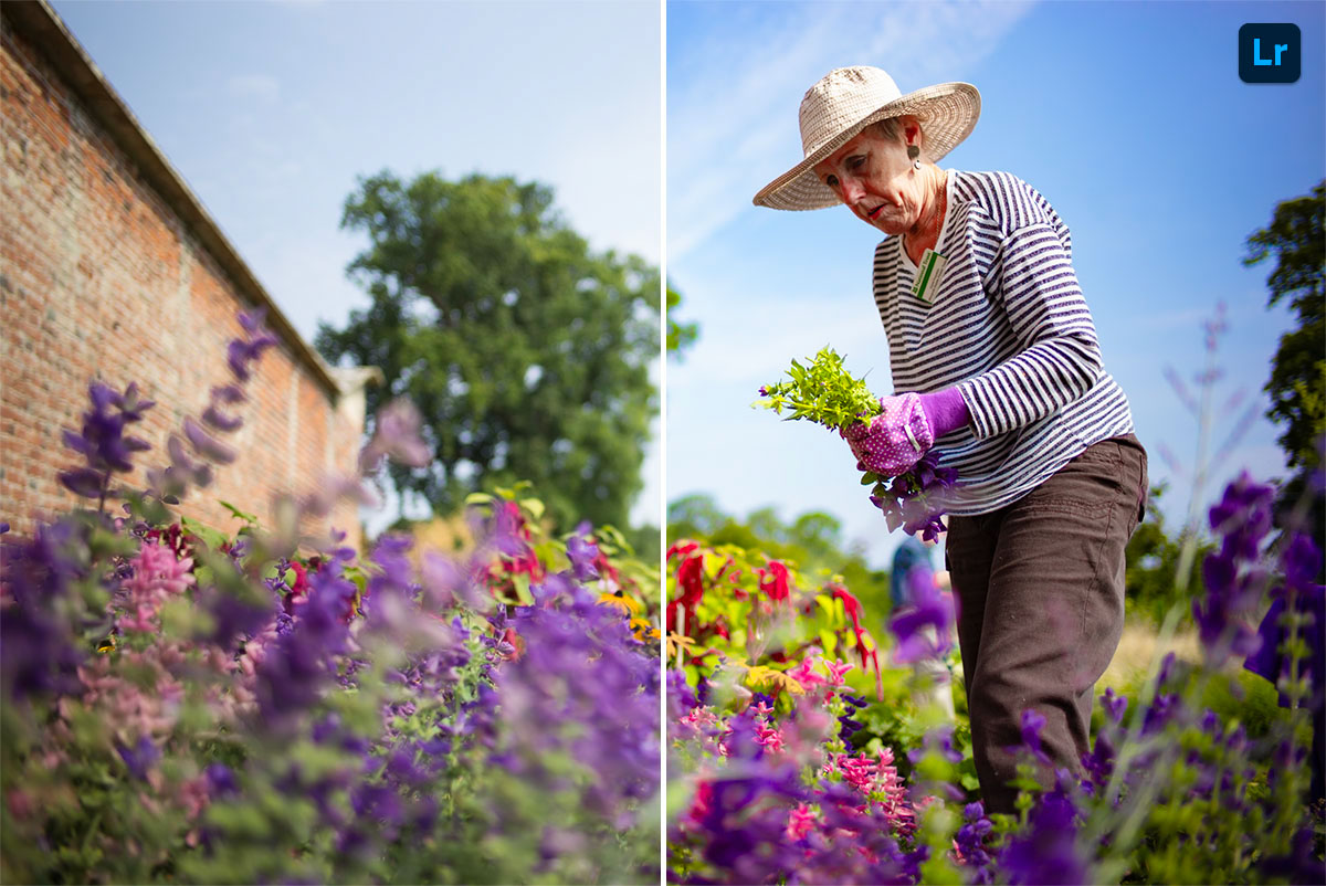 Flower picker | Remix | Photoshop Lightroom