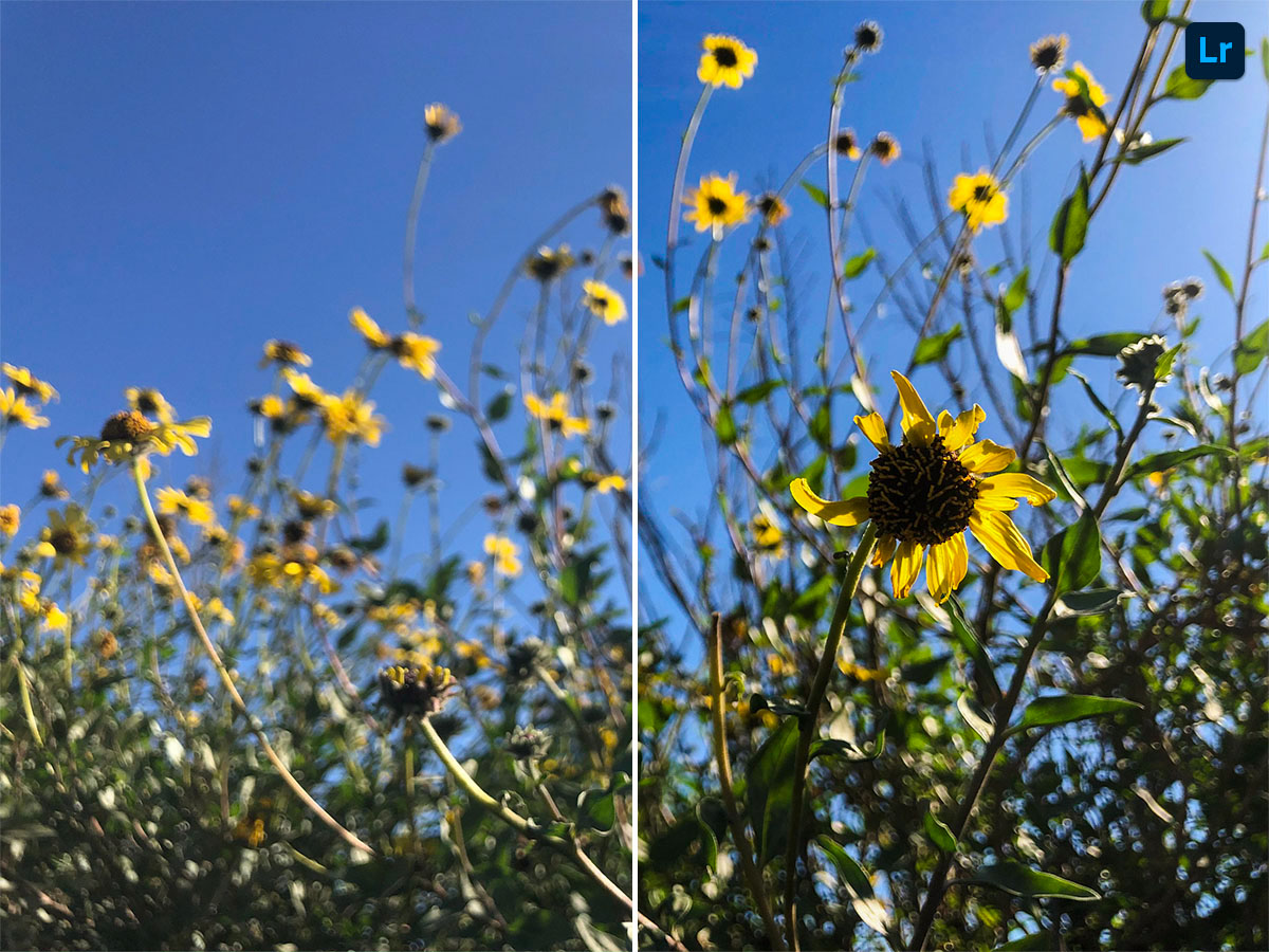 Brighten midday images | Edit | Photoshop Lightroom