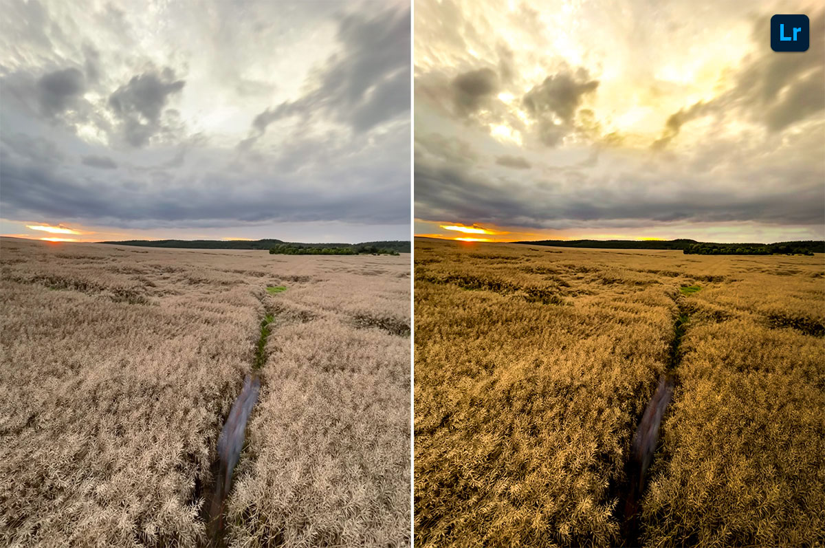 field | Remix | Photoshop Lightroom