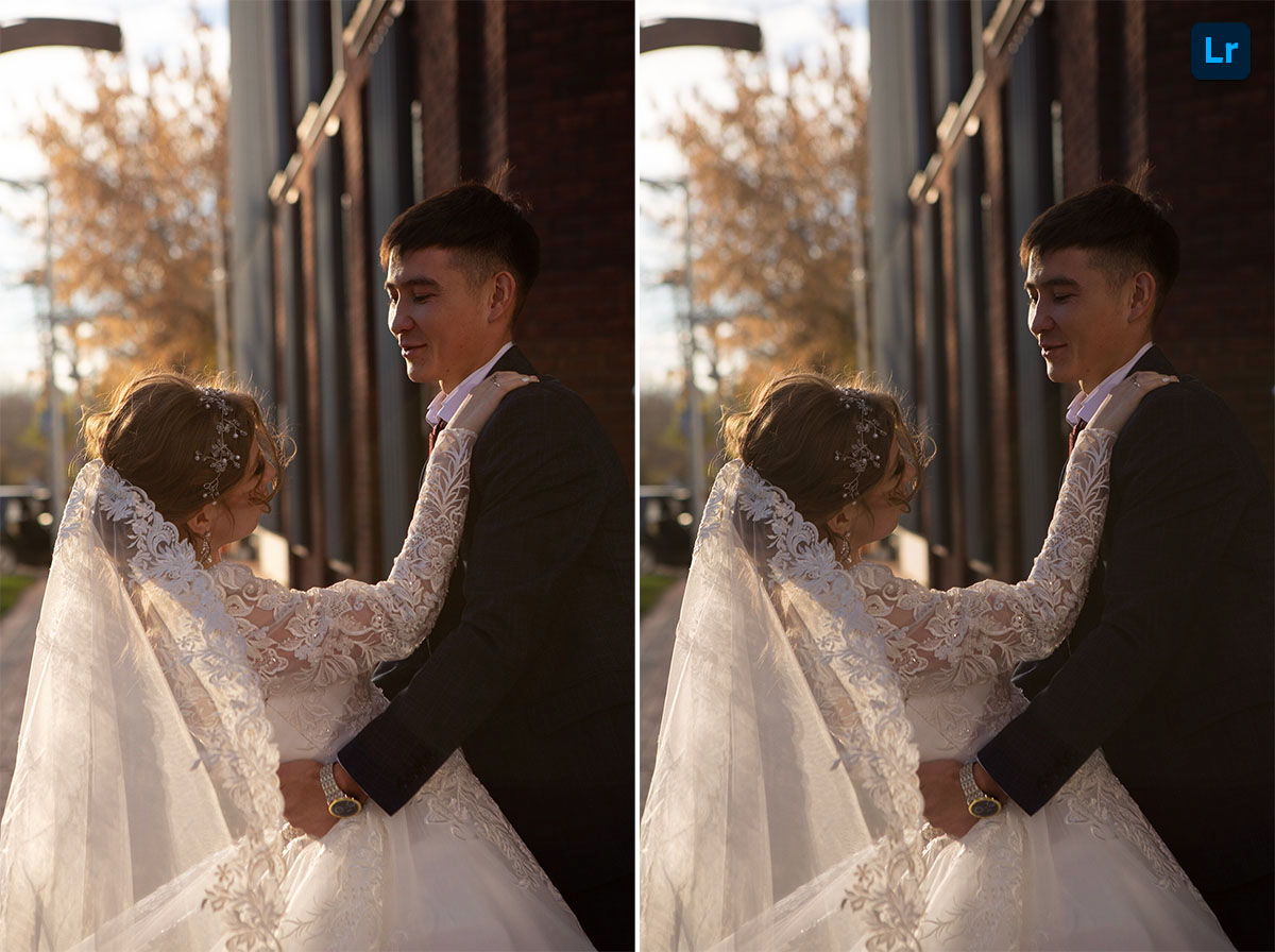 Irreplaceable moments | Remix | Photoshop Lightroom