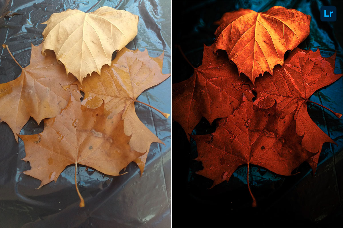 Autumn Leaves | Edit | Photoshop Lightroom