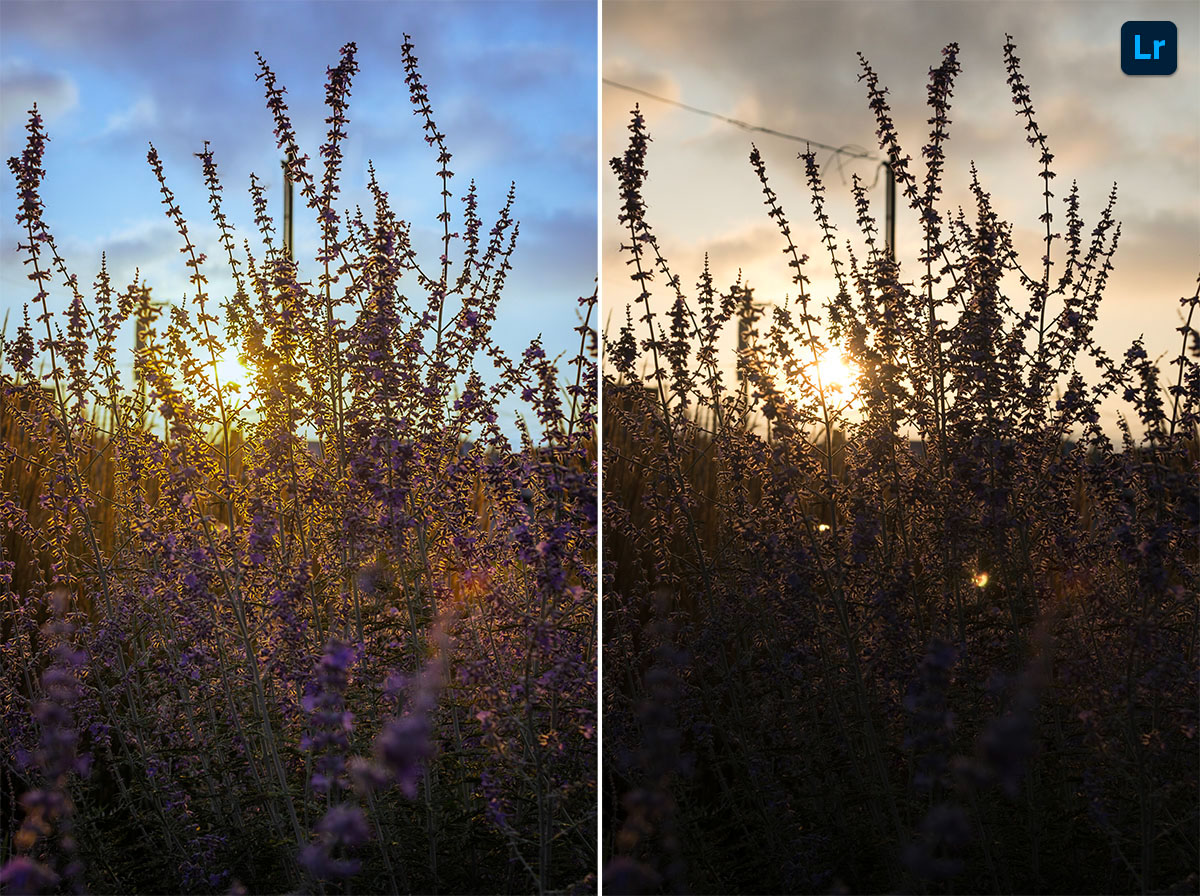 in the field | Edit | Photoshop Lightroom