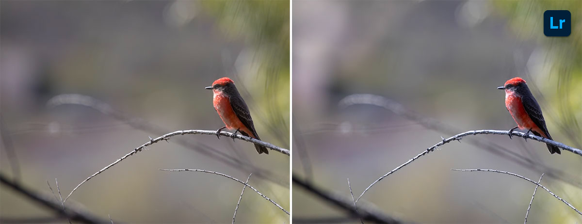 Linear gradient and LR | Remix | Photoshop Lightroom