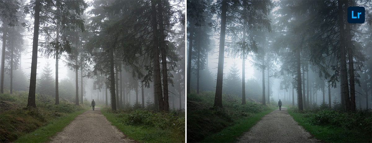 Moody Walk | Remix | Photoshop Lightroom