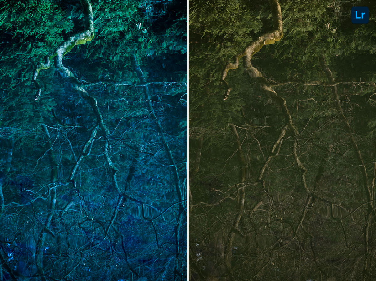 Reflection | Edit | Photoshop Lightroom