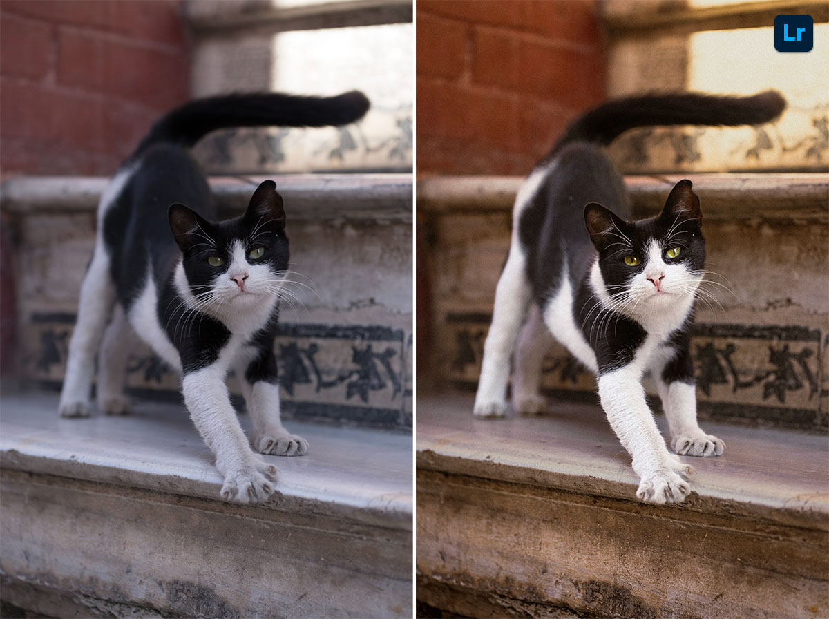 CTB | Remix | Photoshop Lightroom