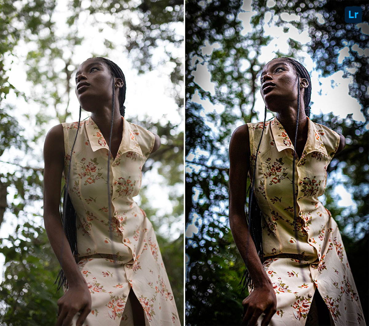 elizabeth | Remix | Photoshop Lightroom