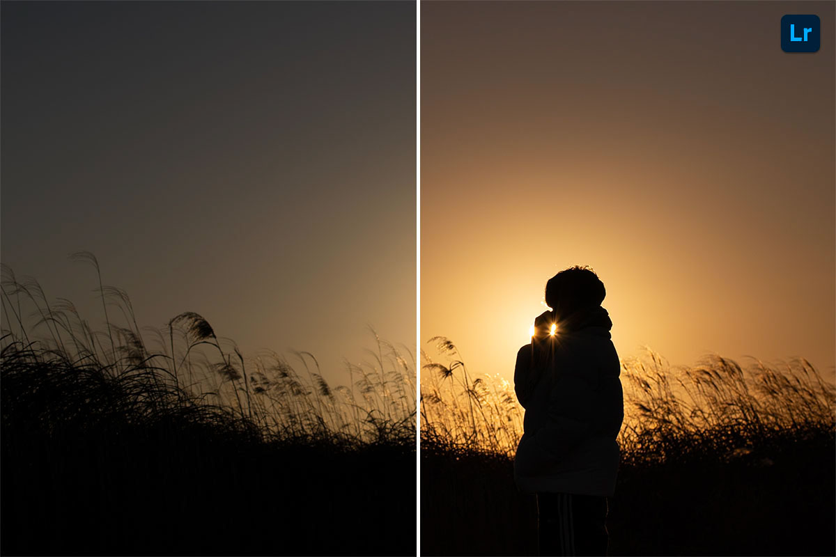 Golden hour | Edit | Photoshop Lightroom