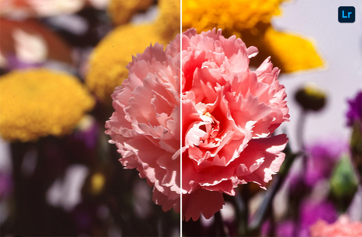 ektachrome | Edit | Photoshop Lightroom