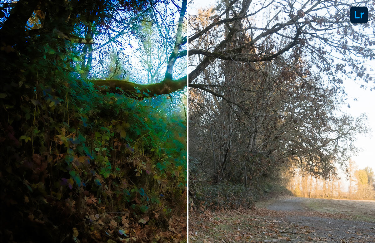 A walk | Edit | Photoshop Lightroom