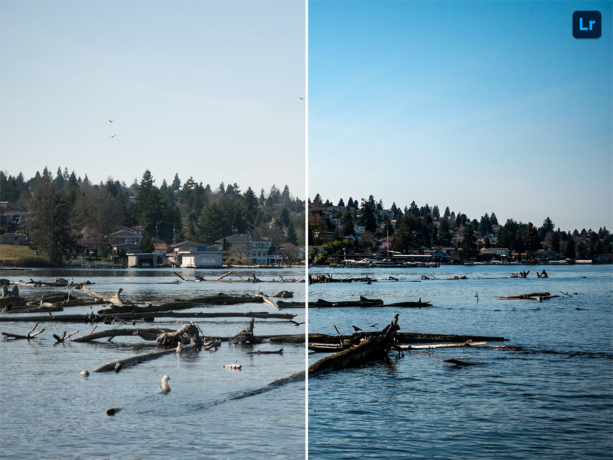 Nature | Edit | Photoshop Lightroom