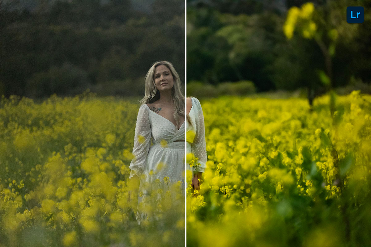 Meadow | Edit | Photoshop Lightroom
