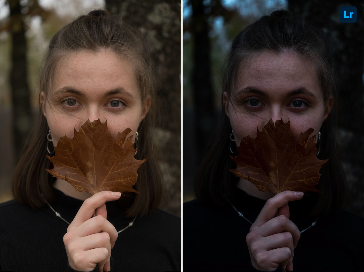 Moody aesthetics | Remix | Photoshop Lightroom