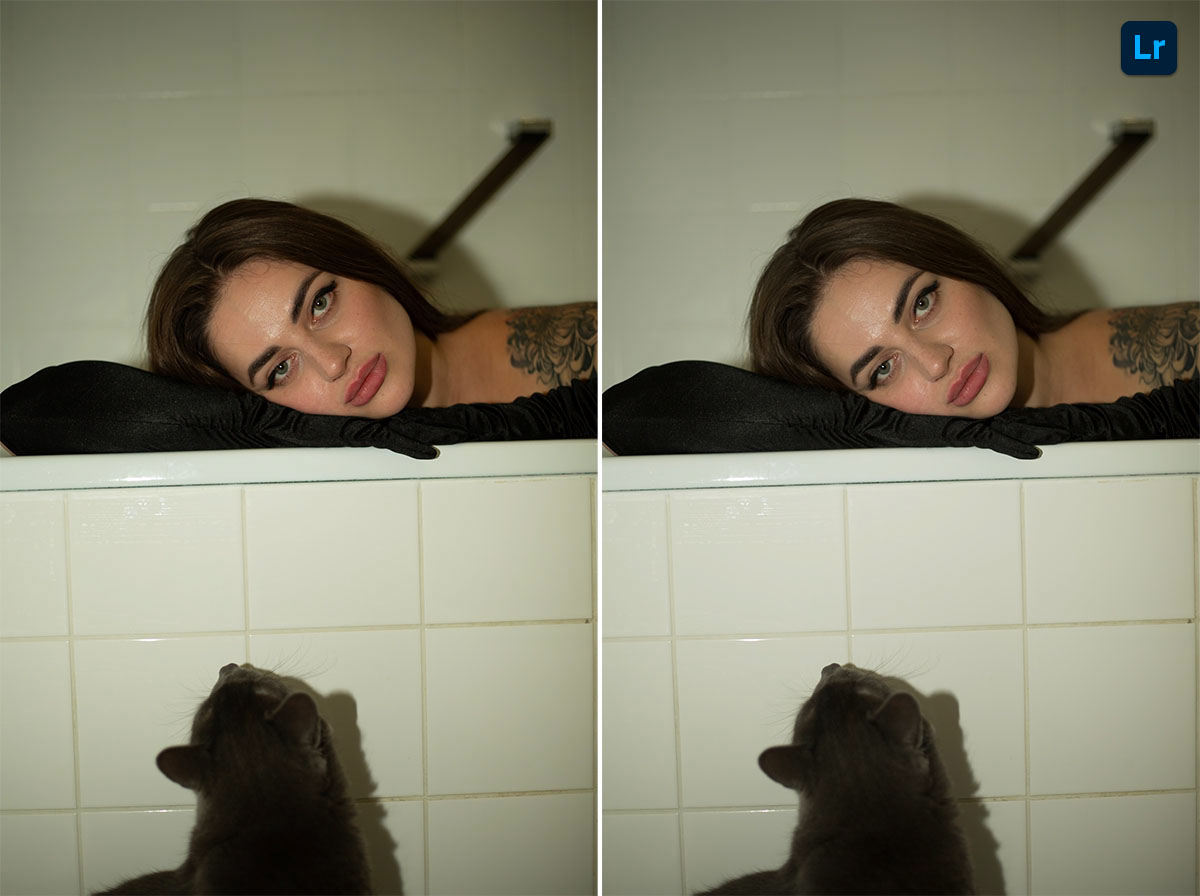 She was cat | Remix | Photoshop Lightroom