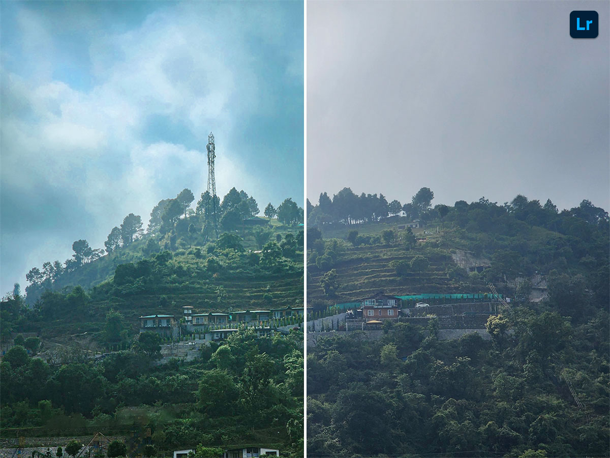 greenery | Edit | Photoshop Lightroom