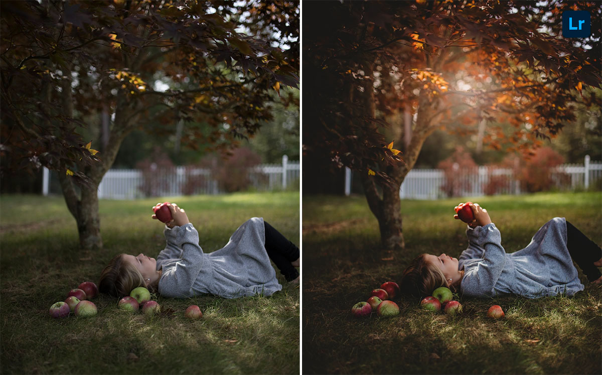 Fall Haze | Edit | Photoshop Lightroom