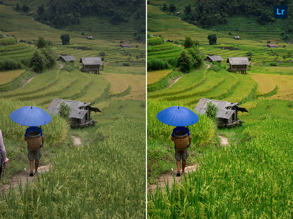 Vietnam | Edit | Photoshop Lightroom