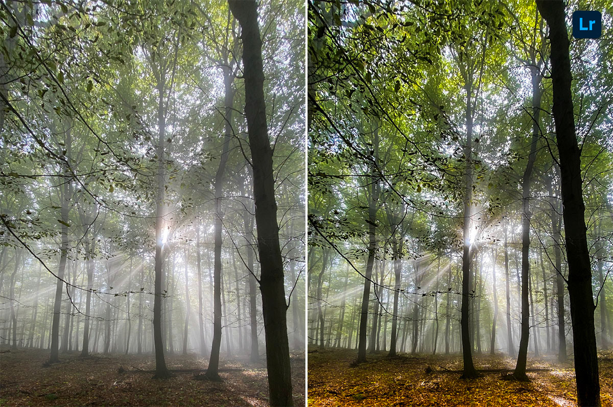 Mist | Edit | Photoshop Lightroom