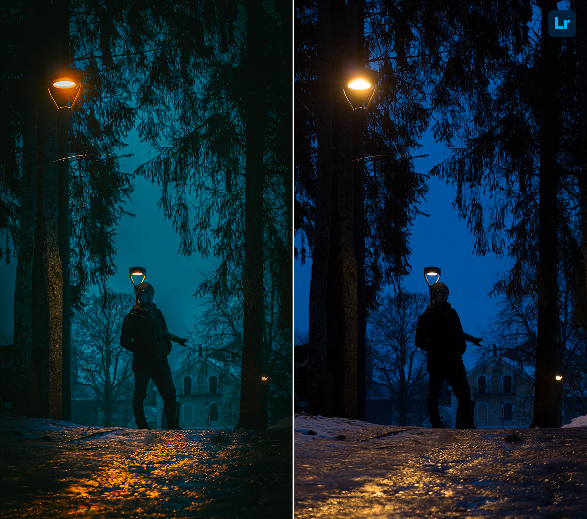 Walk in the Park | Edit | Photoshop Lightroom