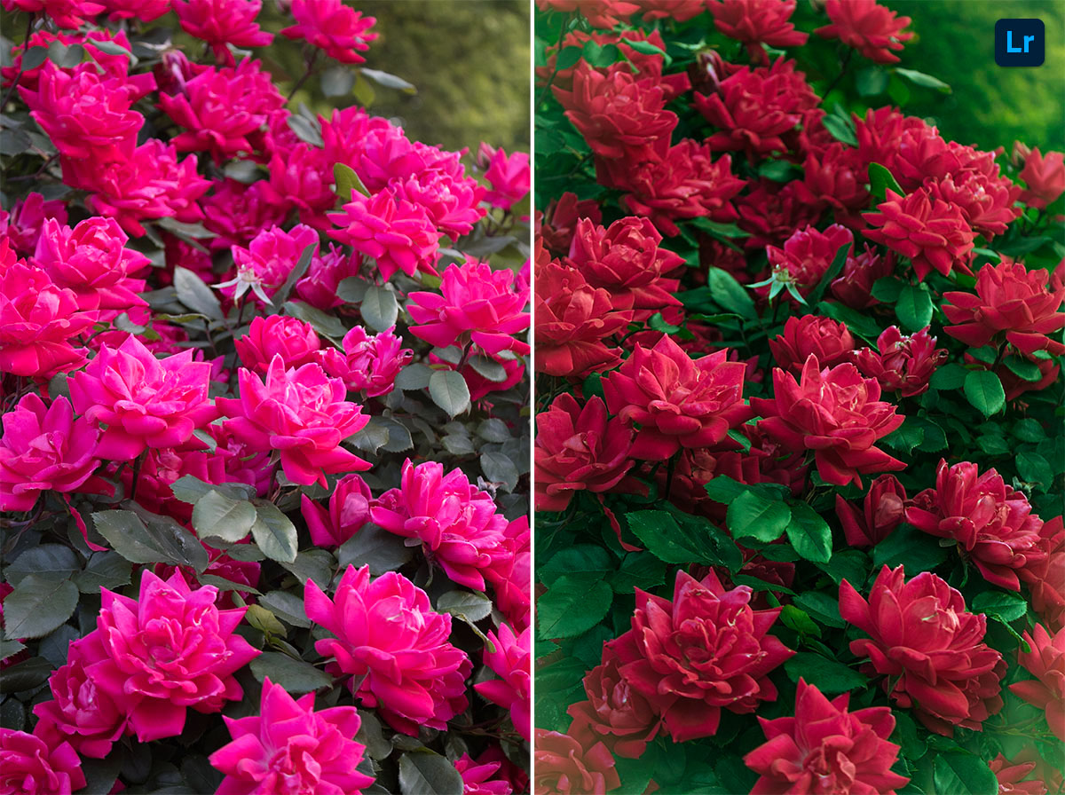 ruby rose | Edit | Photoshop Lightroom