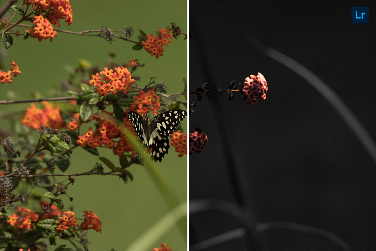 Highlighting the subject | Edit | Photoshop Lightroom