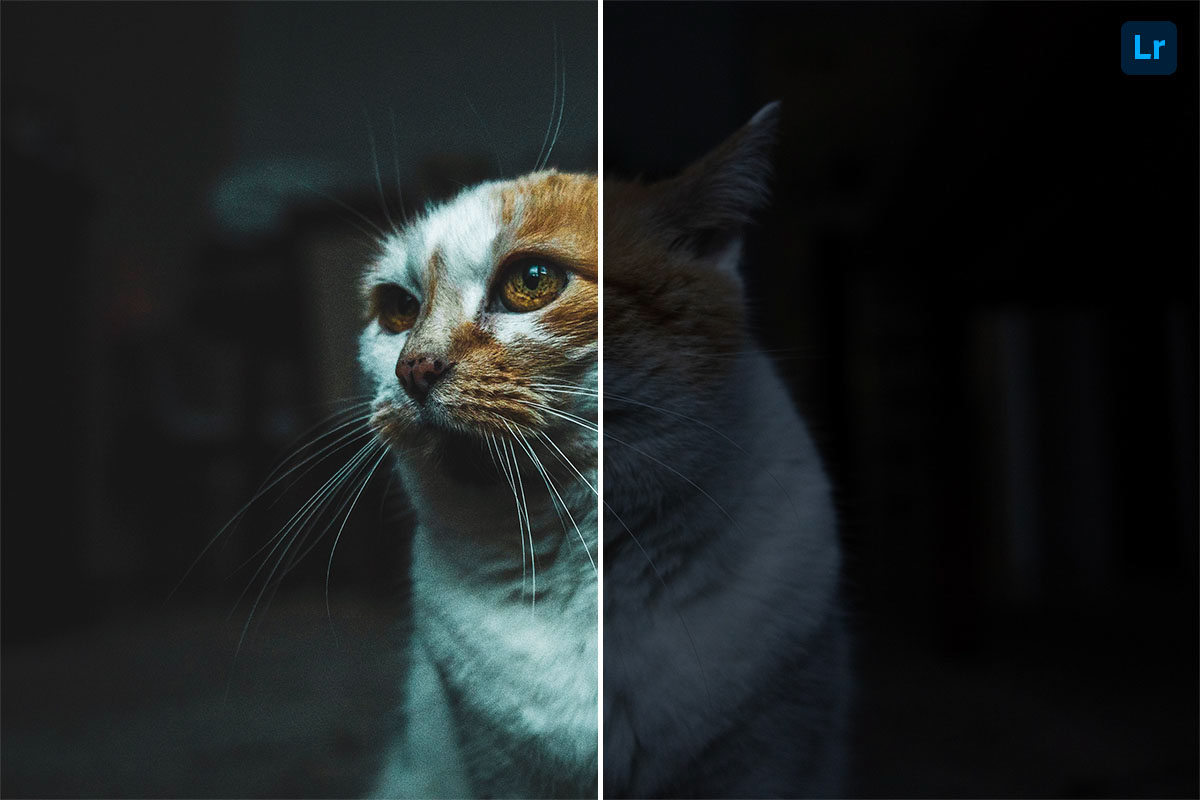 My best model | Edit | Photoshop Lightroom