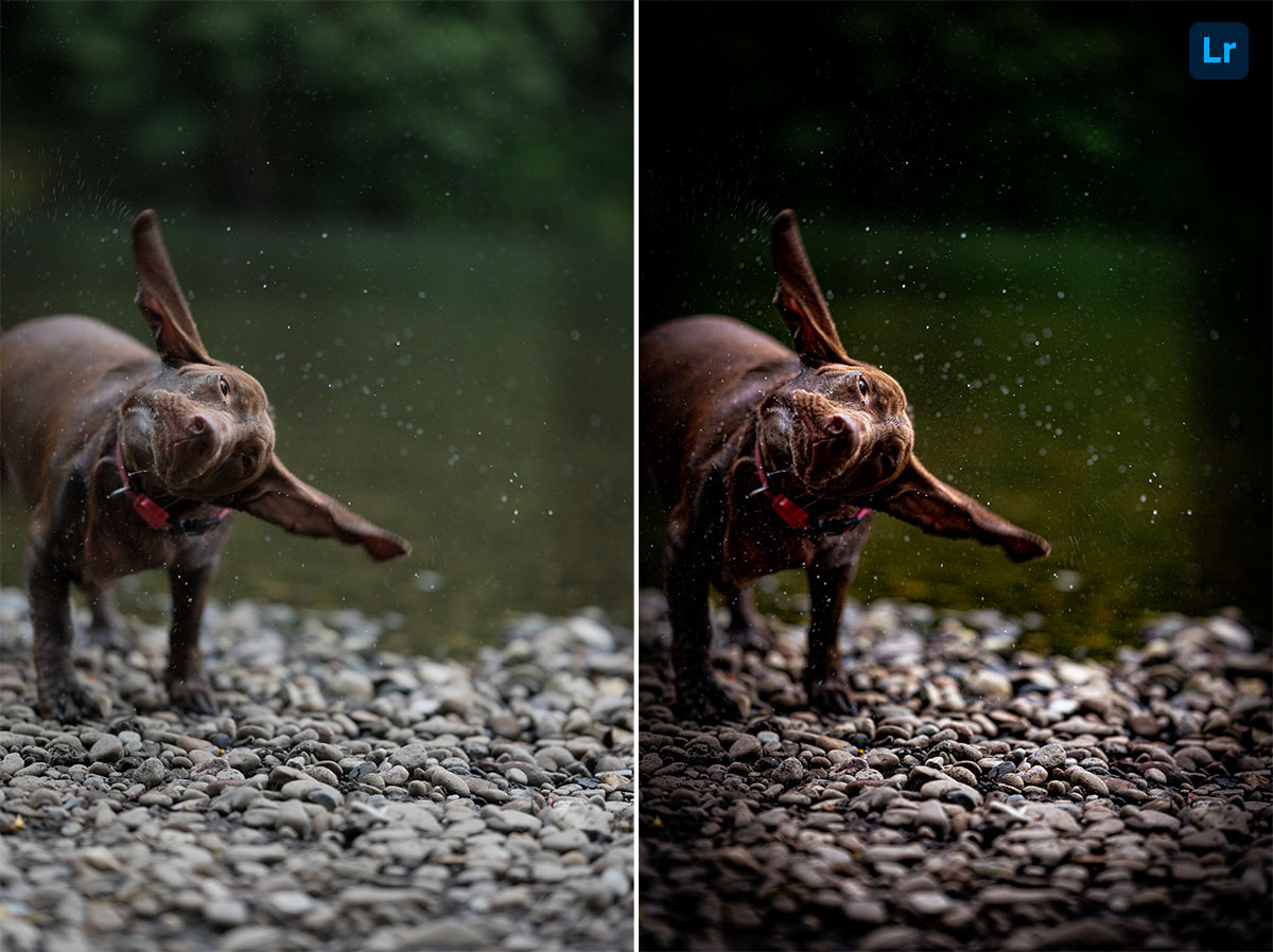 Floppy Head | Remix | Photoshop Lightroom