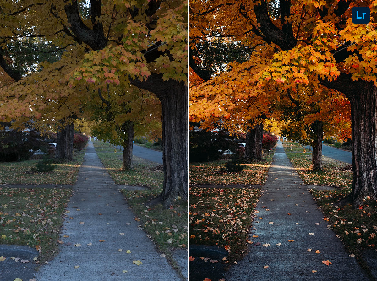 Sidewalks | Edit | Photoshop Lightroom