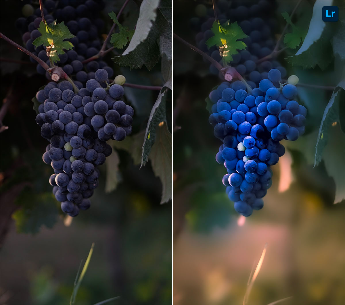 Great | Remix | Photoshop Lightroom