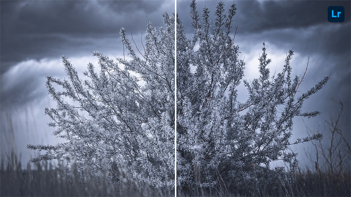 The Transition | Edit | Photoshop Lightroom