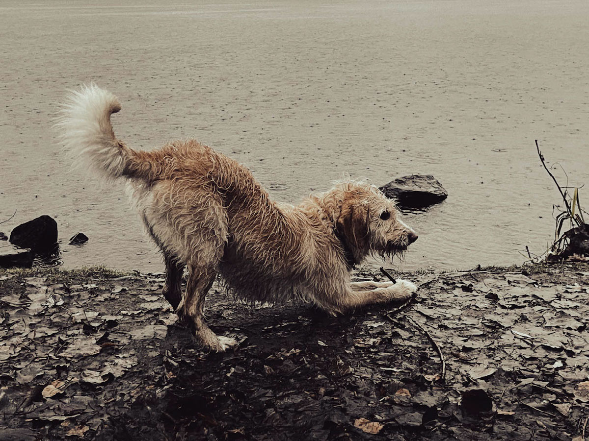 so cute | Edit | Photoshop Lightroom