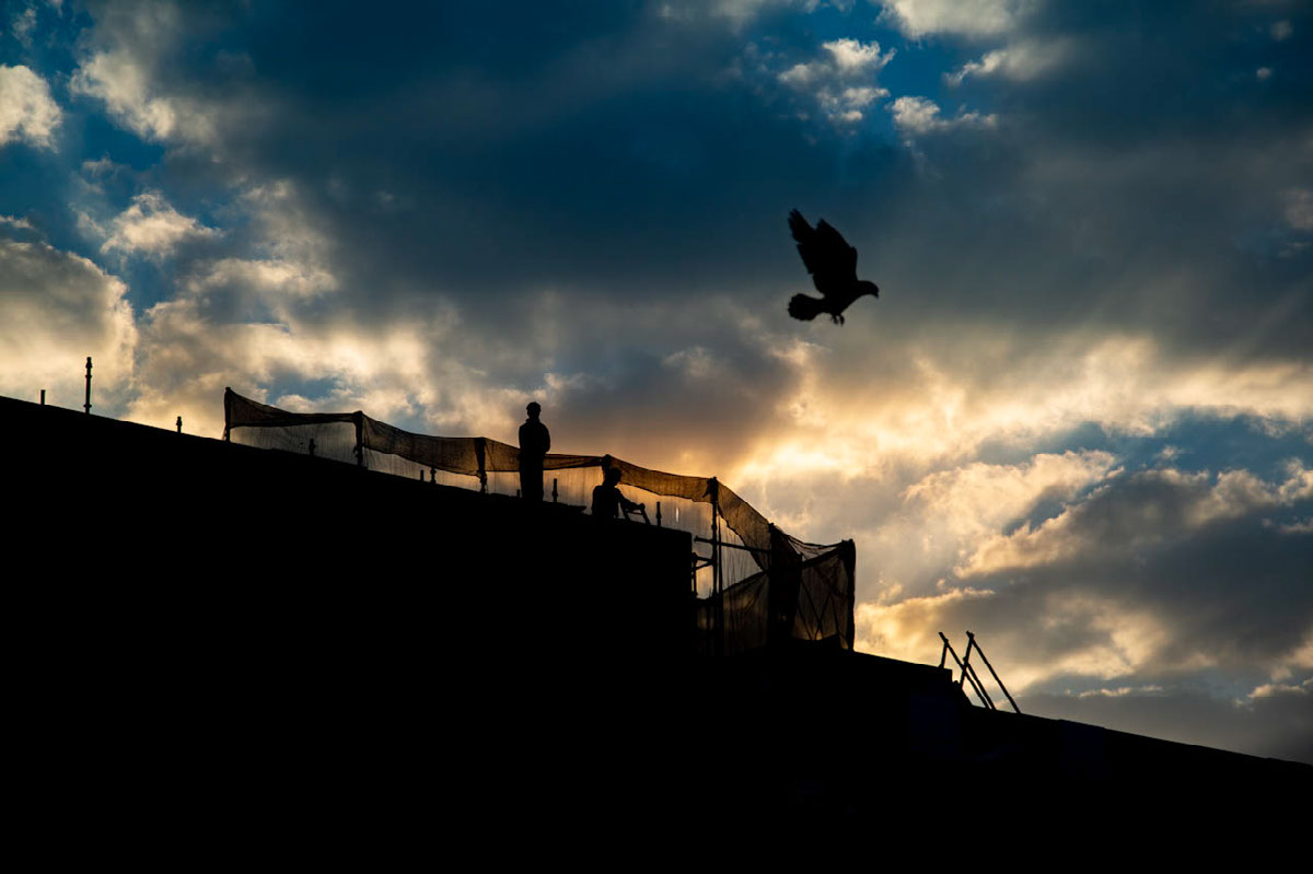 Good Morning | Edit | Photoshop Lightroom