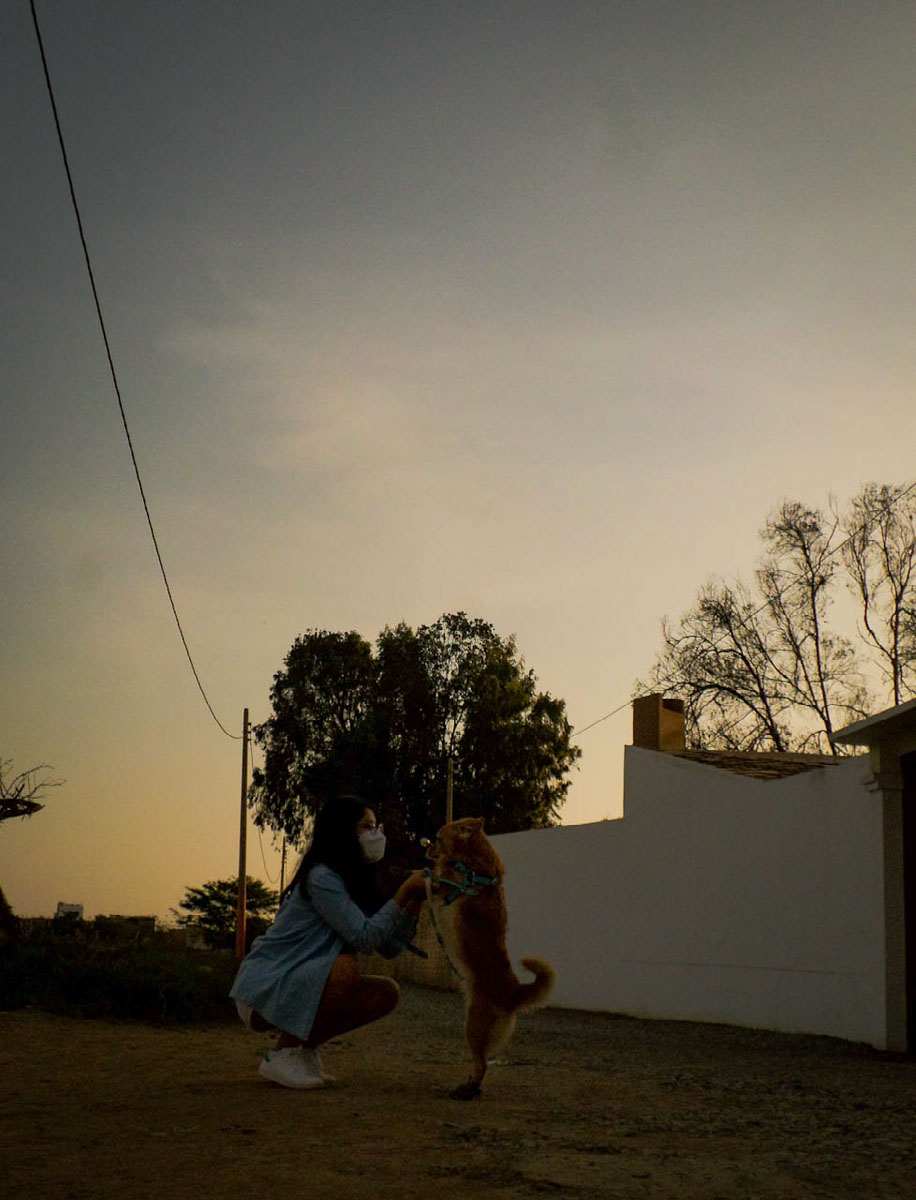 Coco | Edit | Photoshop Lightroom