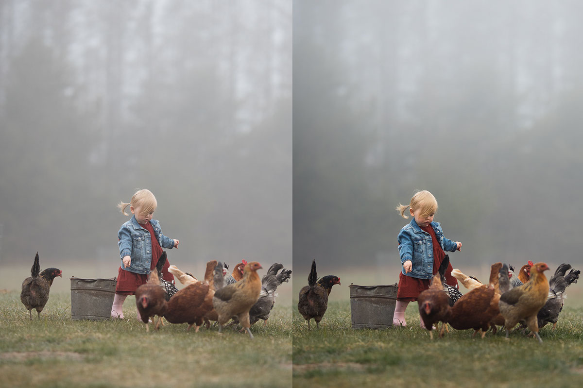 Creating a More Dimensional Image | Tutorial | Adobe Lightroom