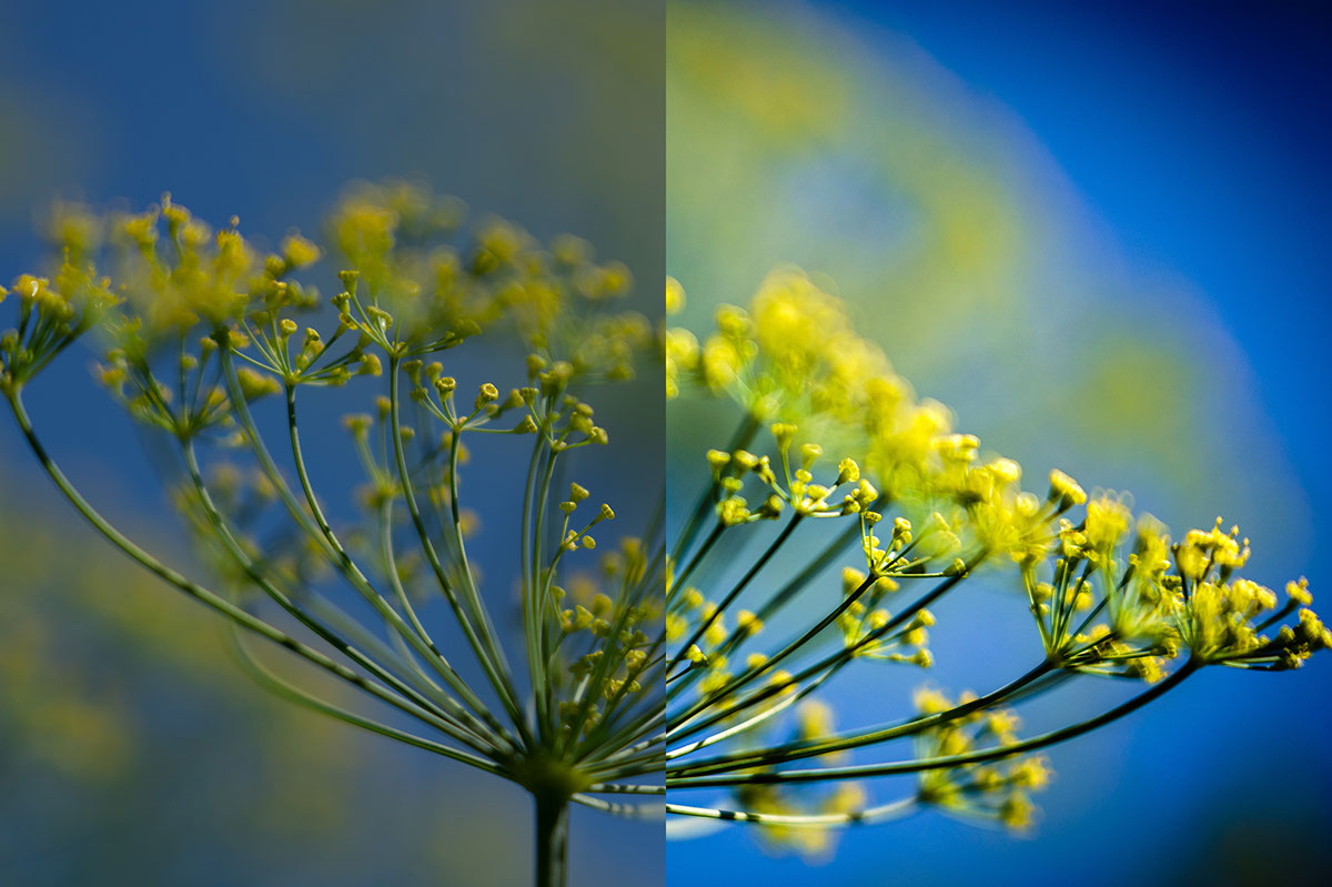 Boosting Complementary Colors Creates Vibrant Images | Tutorial ...