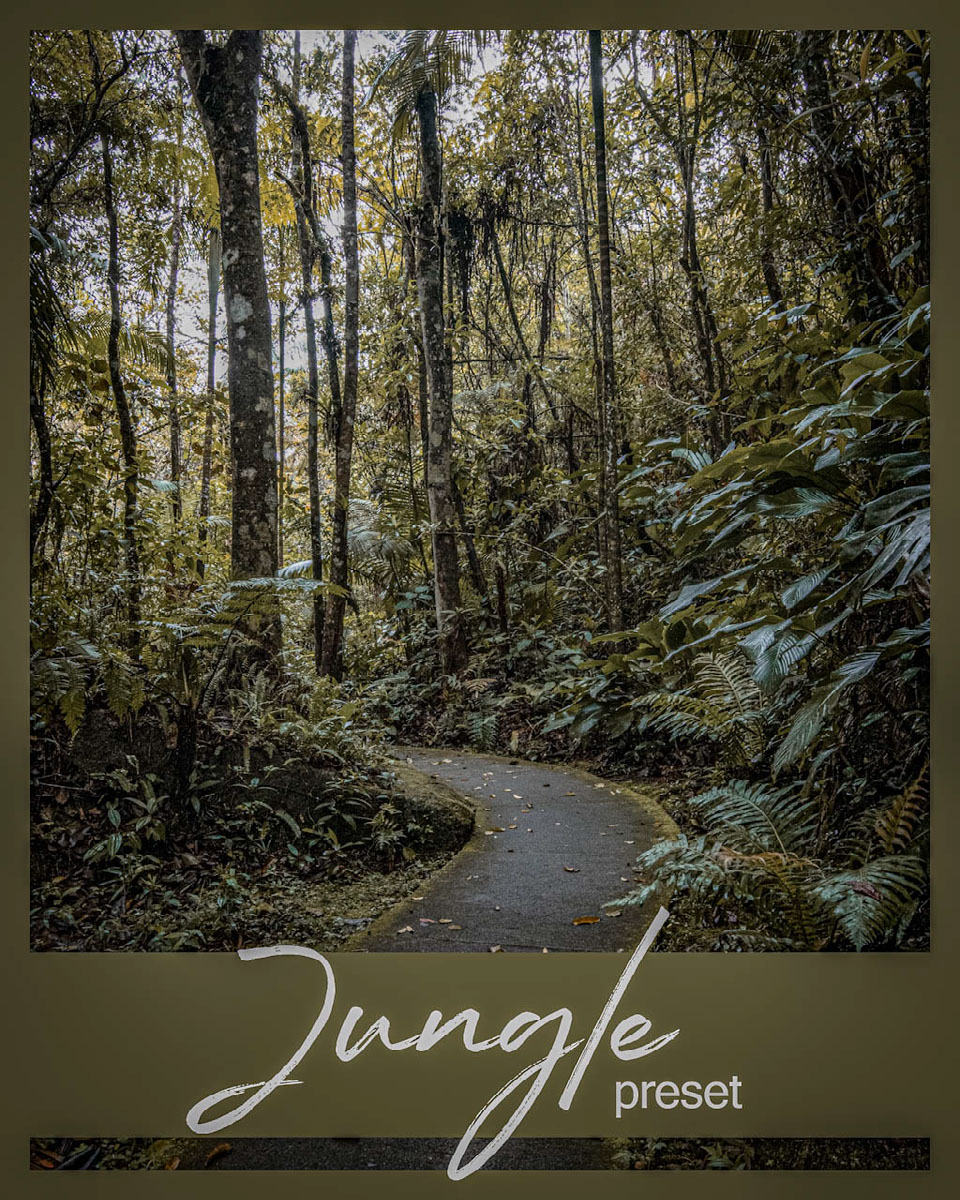 Jungle | Edit | Photoshop Lightroom