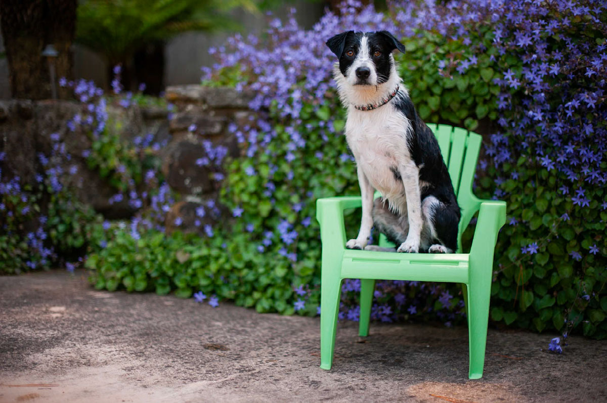 Using Color and Contrast to Strengthen Image | Edit | Photoshop Lightroom