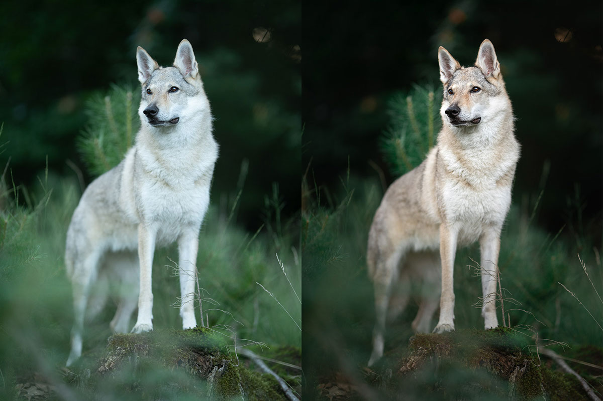 Adding Depth to a Portrait | Tutorial | Adobe Lightroom