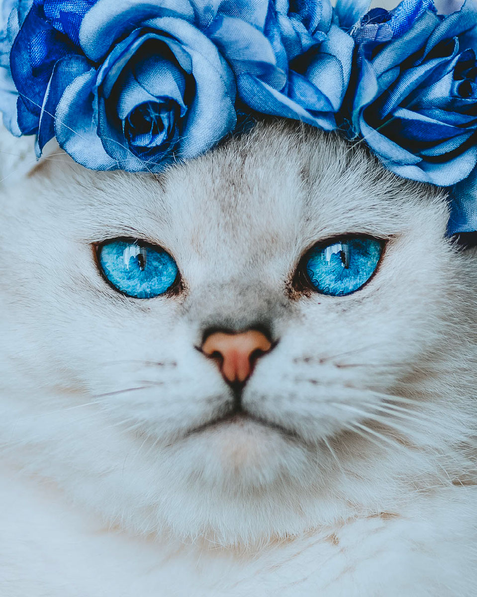 OCEAN | Edit | Photoshop Lightroom