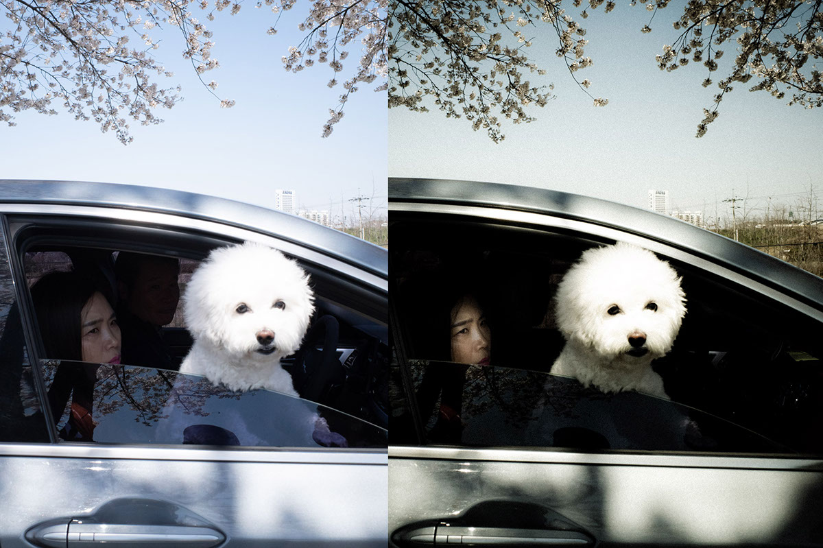 Balancing Subjects with a Radial Gradient | Tutorial | Adobe Lightroom