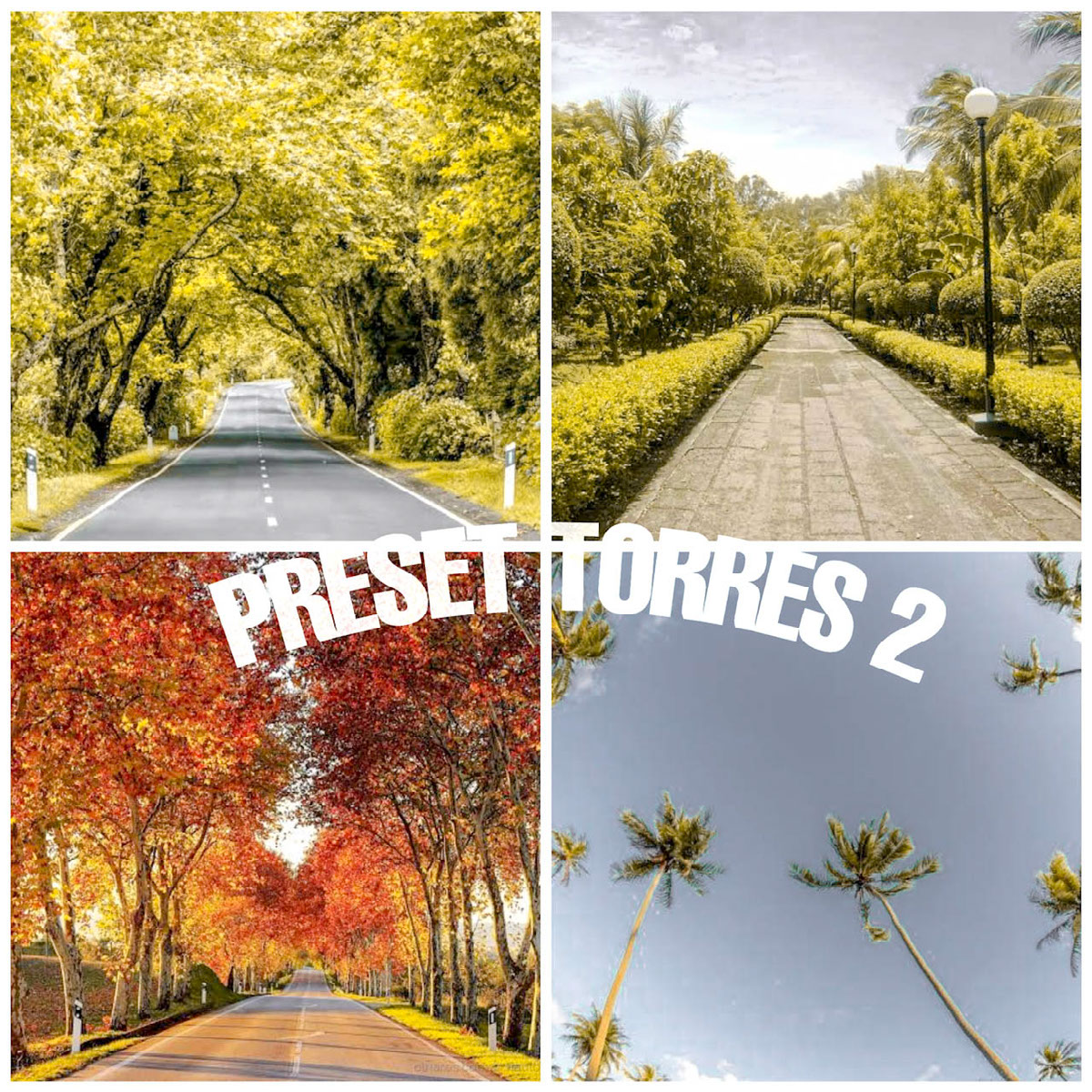 Preset Torres | Edit | Photoshop Lightroom