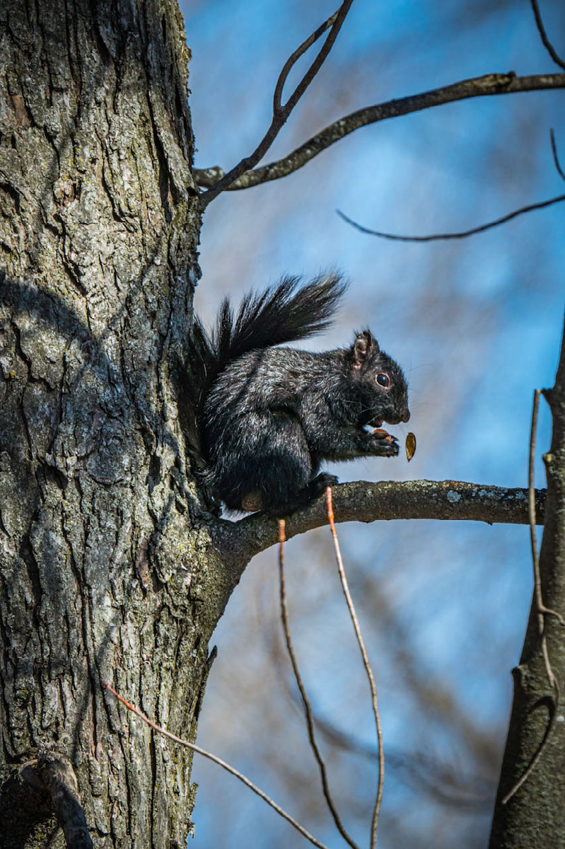 Little buddy | Edit | Photoshop Lightroom