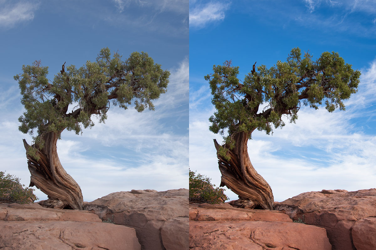 Camera Raw Profiles | Tutorial | Adobe Lightroom