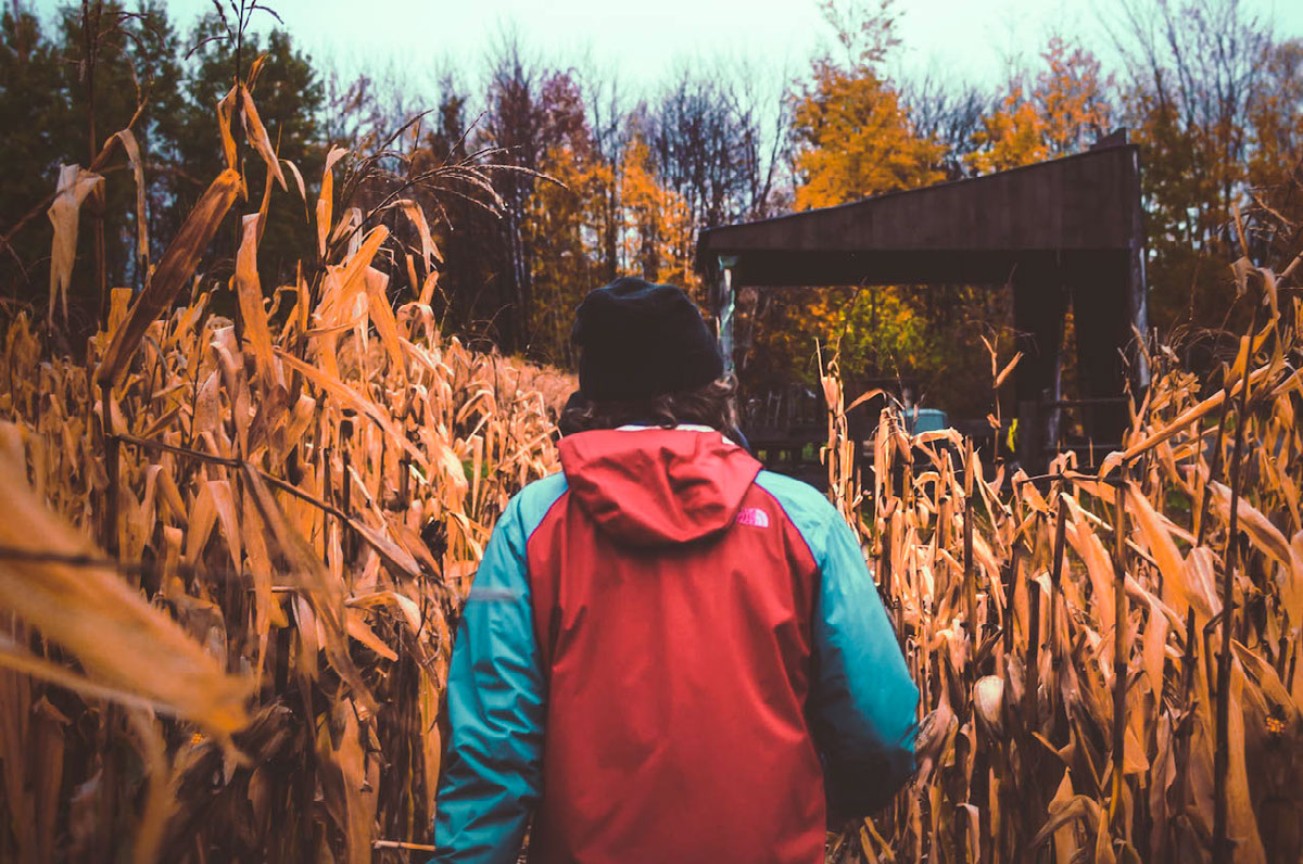 Fall fade | Edit | Photoshop Lightroom