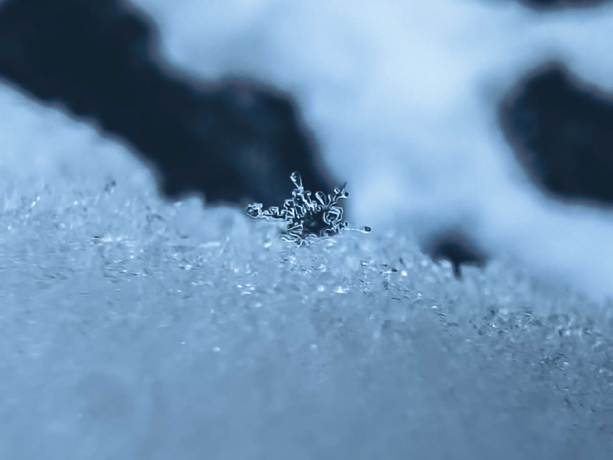 snowflake | Edit | Photoshop Lightroom